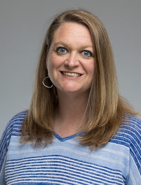 School Telehealth Resources